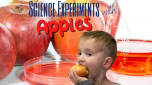 Science Activities with Apples: Fun Experiments for Kids - STEMtropolis